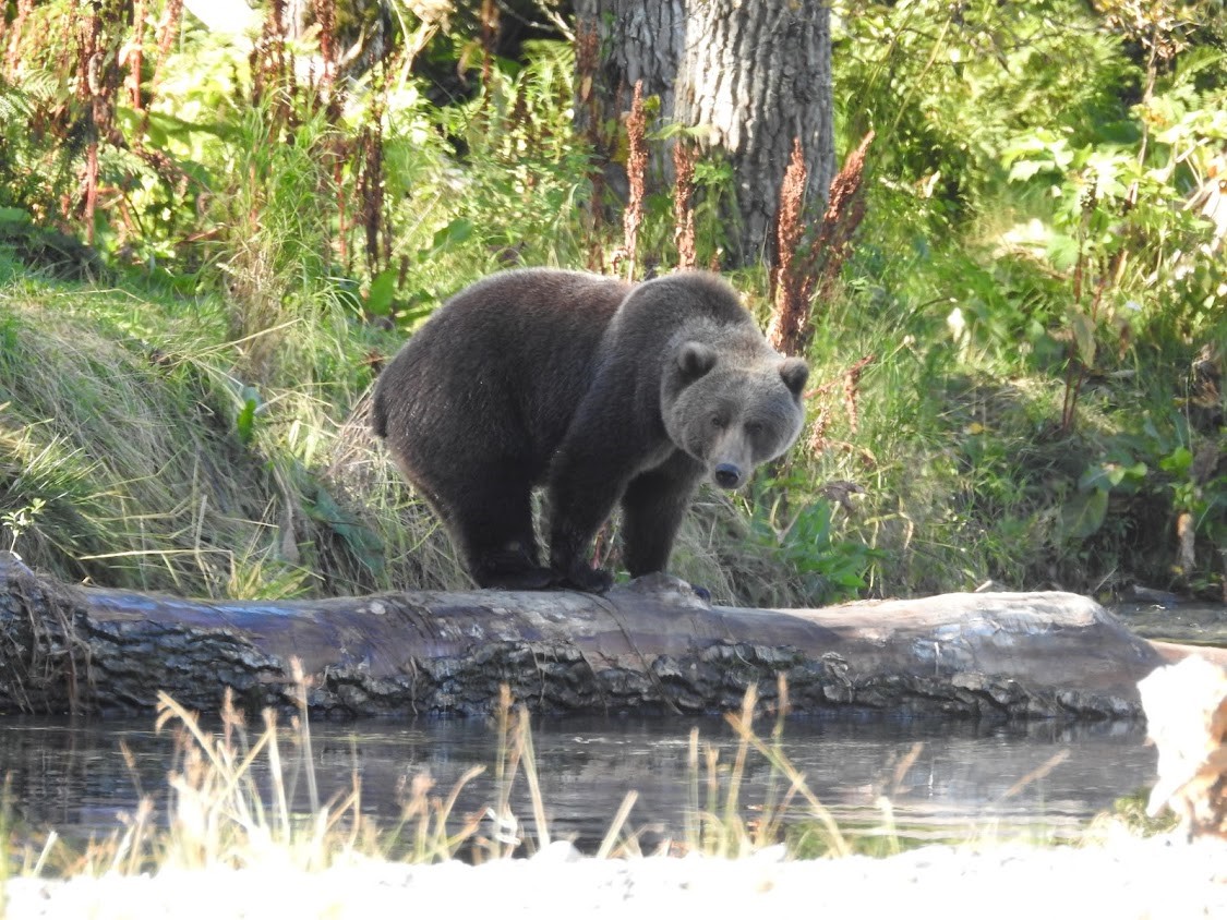 James Dungan Smith (1939-2021) | Department of Earth and Space Sciences